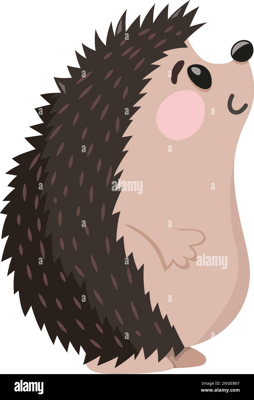 A cartoon vector illustration of a cute hedgehog Stock Vector Image ...