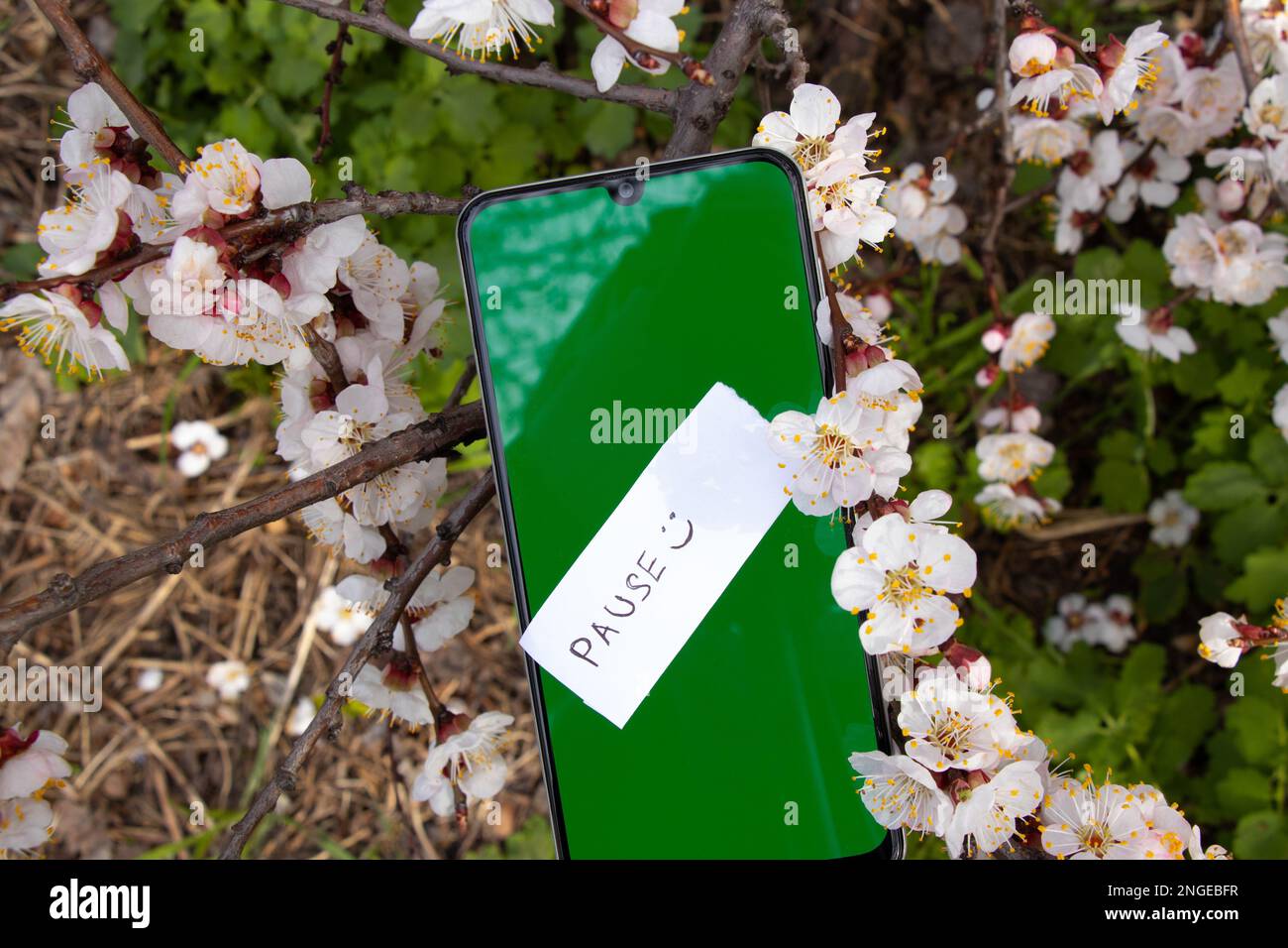 a phone with a green screen and a leaflet with an inscription in ...