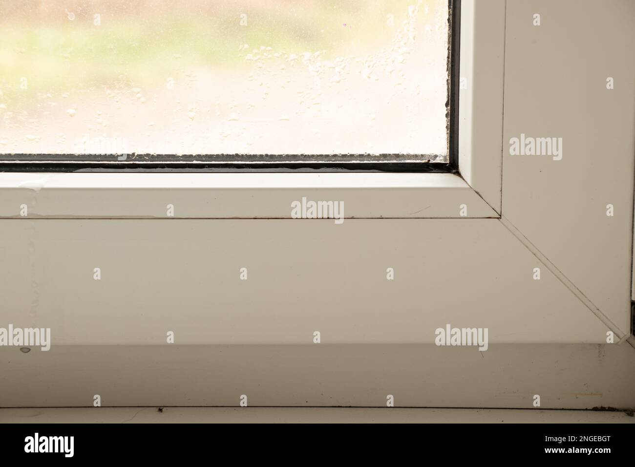 metal-plastic window in an apartment damaged by mold and moisture close ...