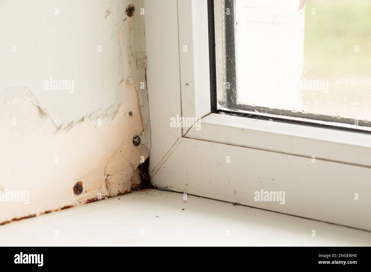metal-plastic window in an apartment damaged by mold and moisture close ...