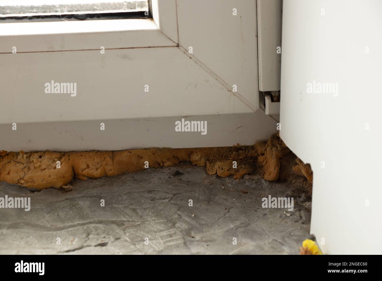 repair of the slope on the window, fungus on the window, window in the ...