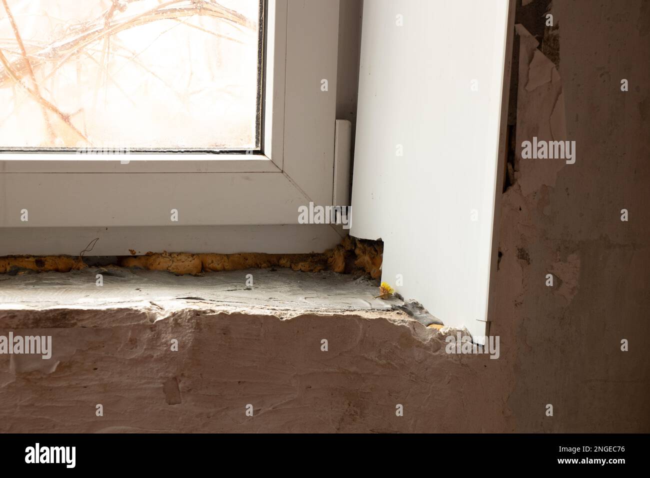 repair of the slope on the window, fungus on the window, window in the ...