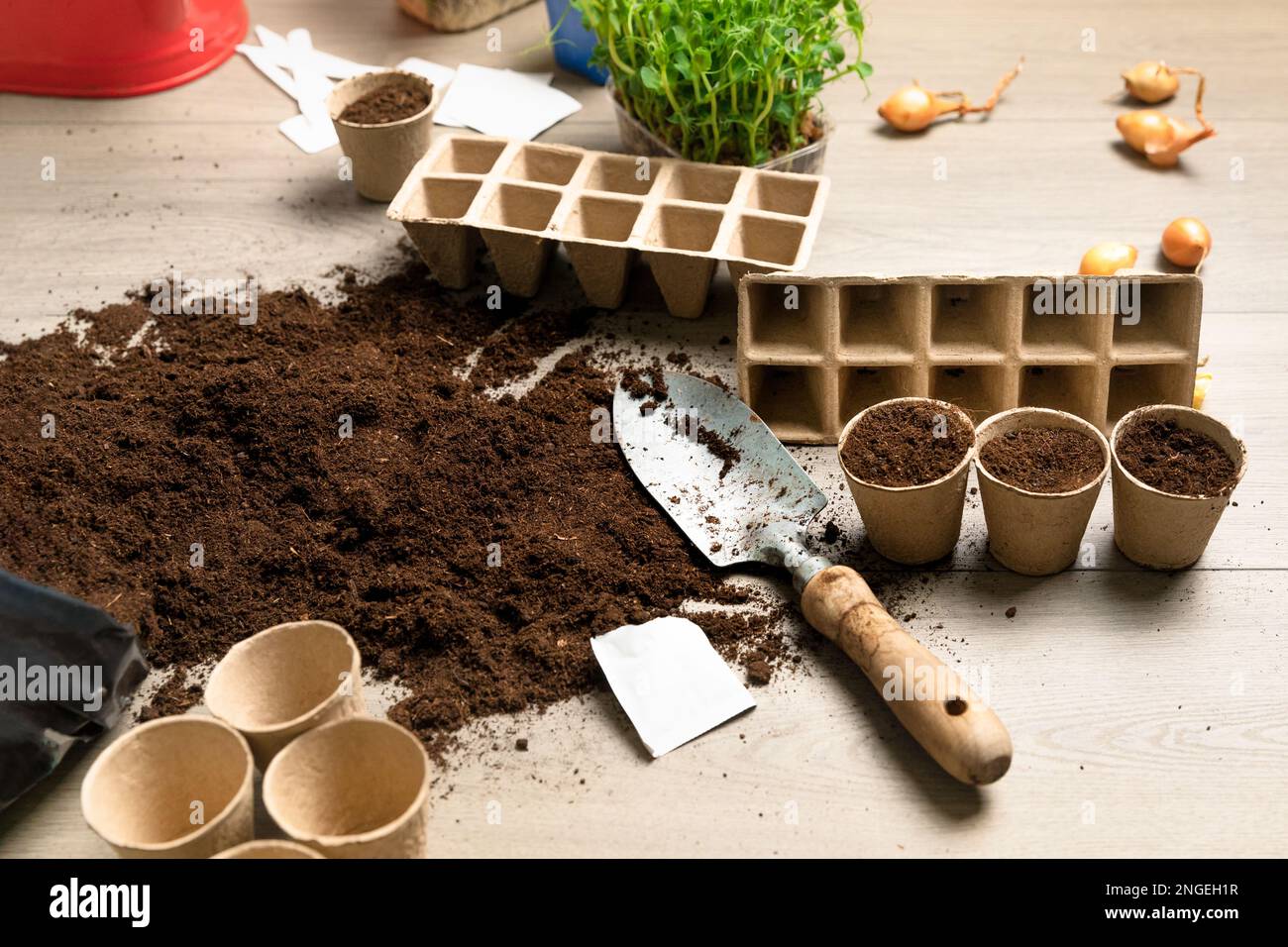 Garden tools with fertile black soil with shovel and cardboard pot for ...