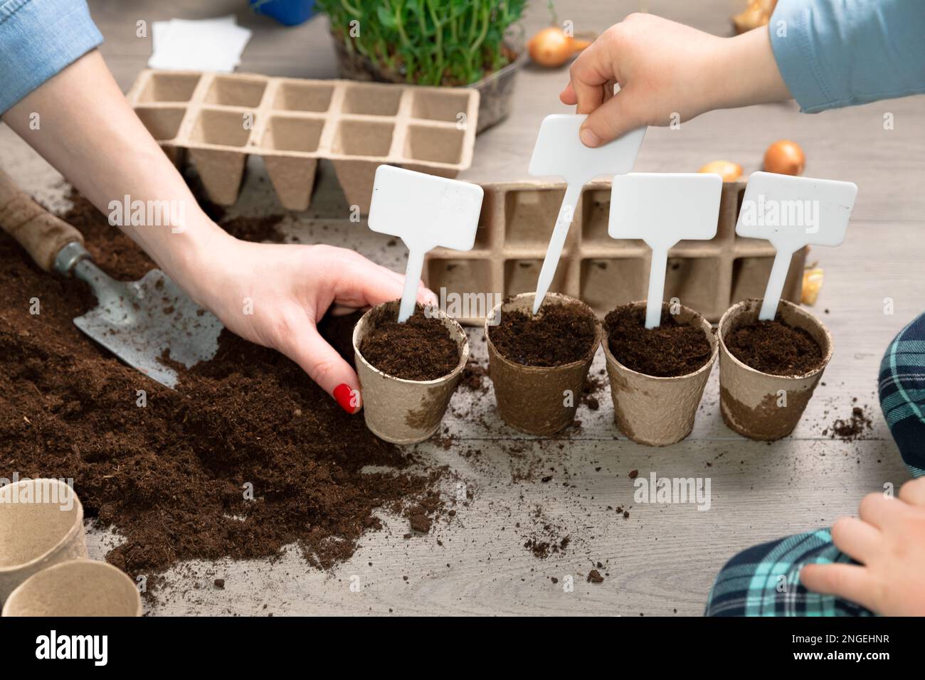Mother and child planting seeds at home in fertile black earth. Putting ...