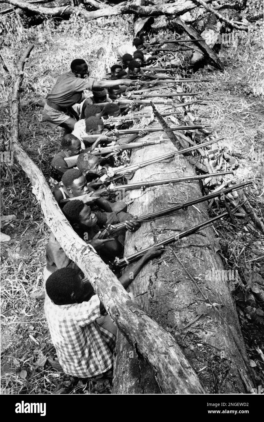 Using a huge log as a rest for their rifles and carbines, Angola rebel ...