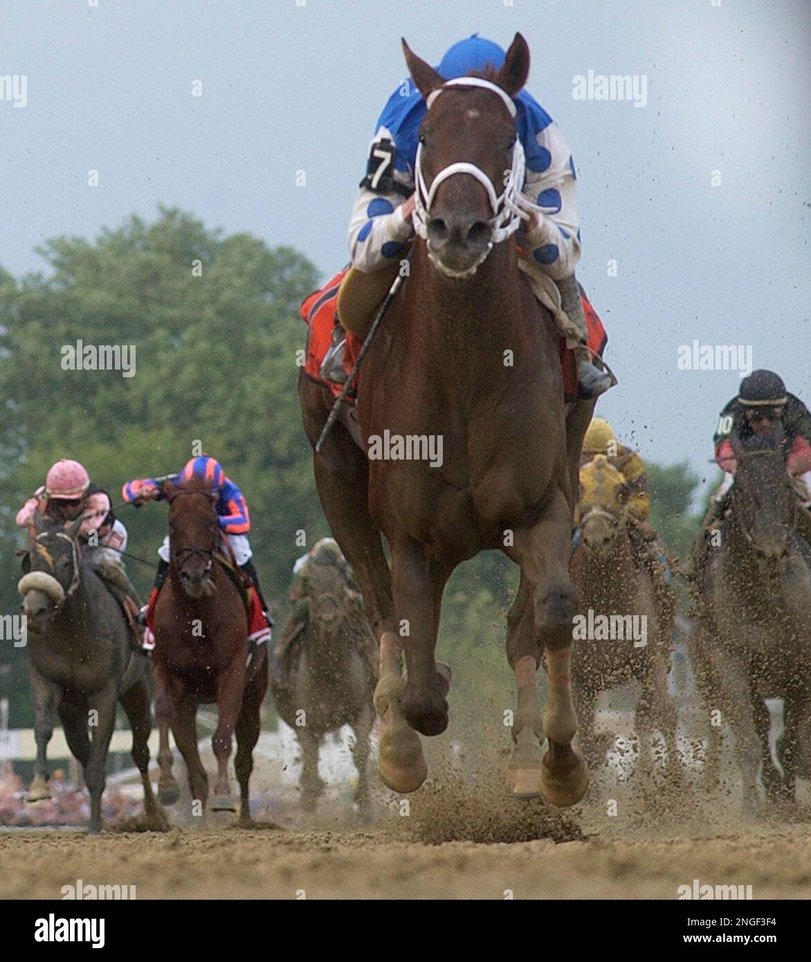 Smarty Jones with Stewart Elliott up leads the field to the finish line ...