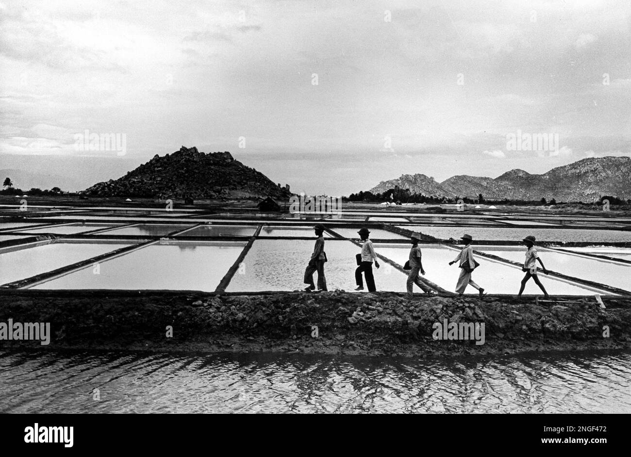 Vietnamese children walk beside flooded rice paddies of the Mekong ...
