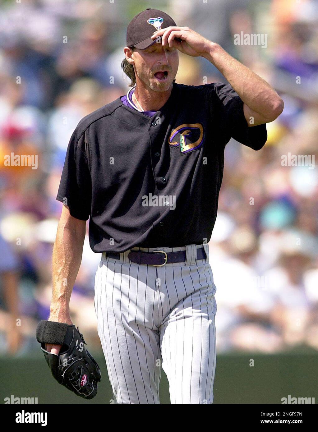 Arizona Diamondbacks pitcher Randy Johnson strolls back to the mound ...