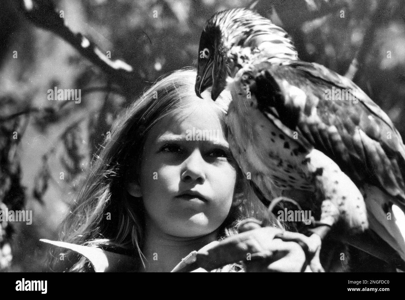 Nell Newman, 12-year-old daughter of Hollywood actors Joanne Woodward ...