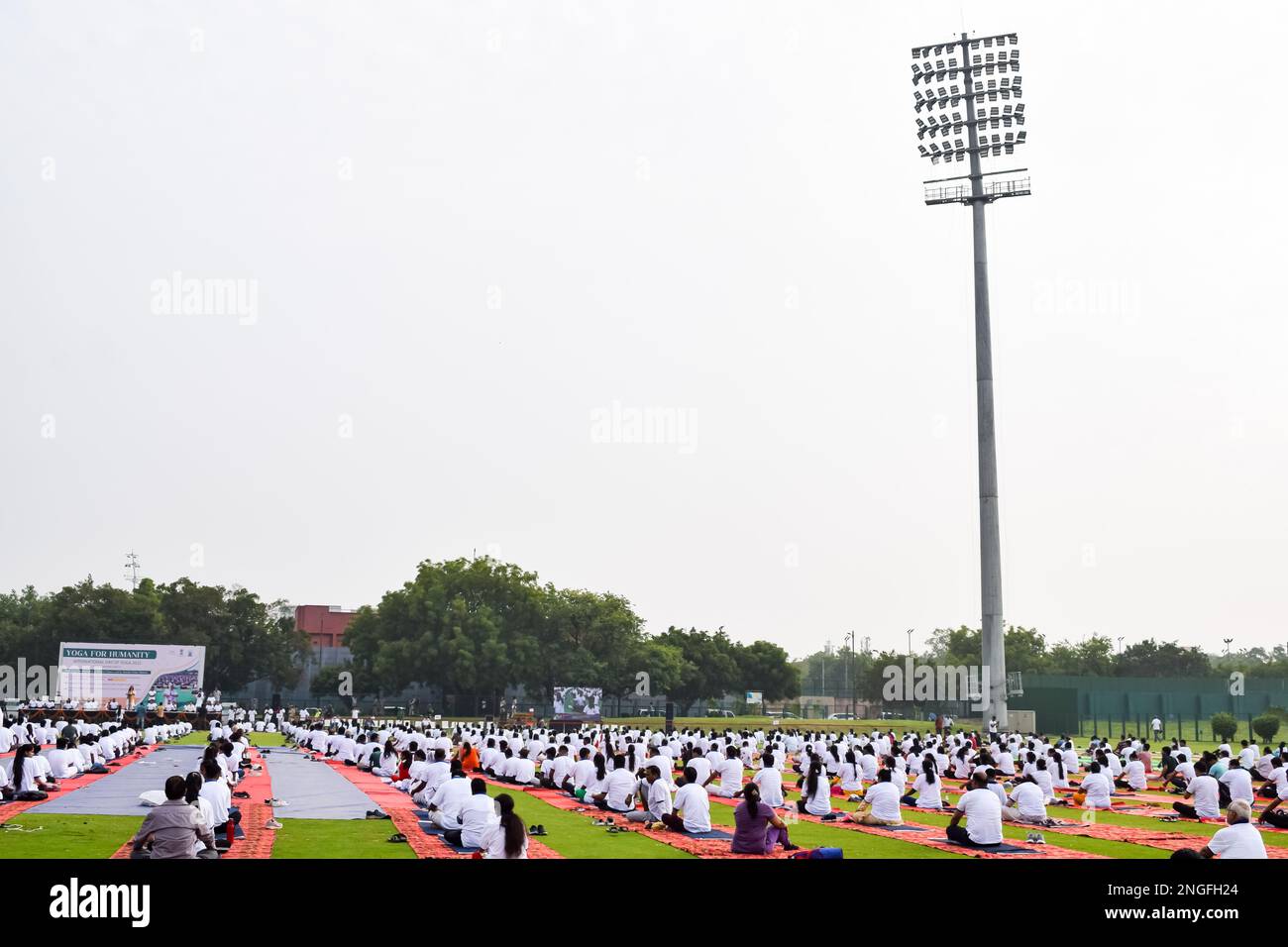 New Delhi, India, June 21 2022 - Group Yoga exercise session for people ...