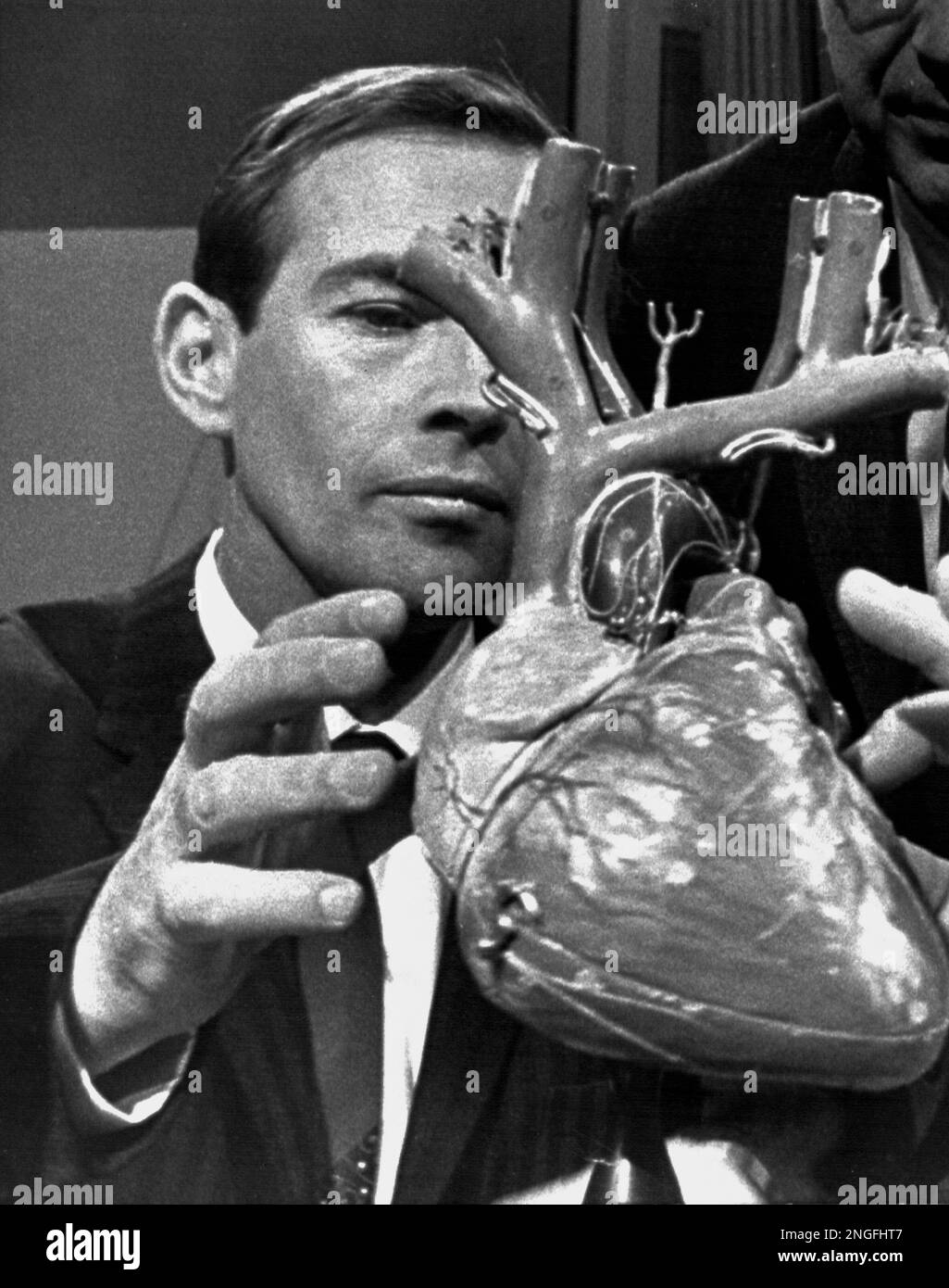 Dr. Christian Barnard looks at a model of a human heart before ...