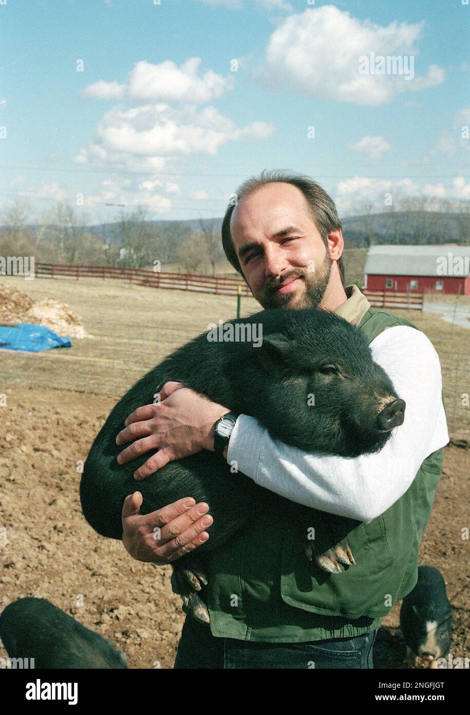 Dale Riffle holds one of 82 potbellied pigs at PIGS, a sanctuary that ...