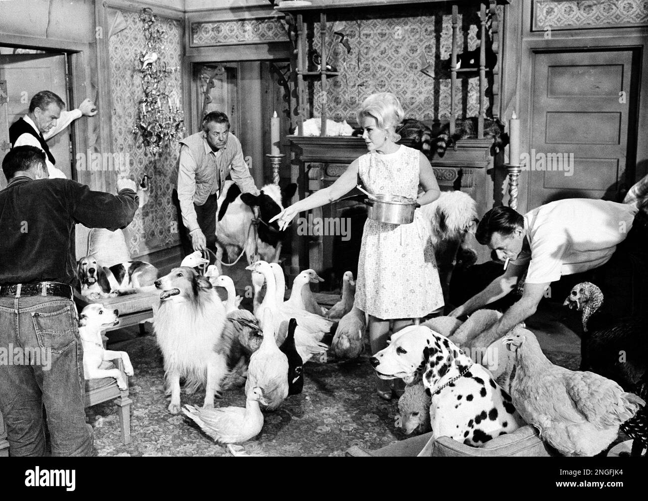 Actress Eva Gabor, center, in the role of Lisa Douglas, and costar ...