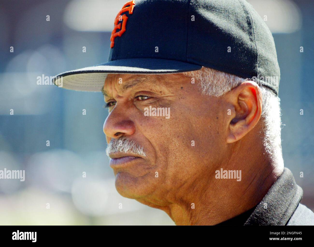 San Francisco Giants' manager Felipe Alou watches his team workout at ...
