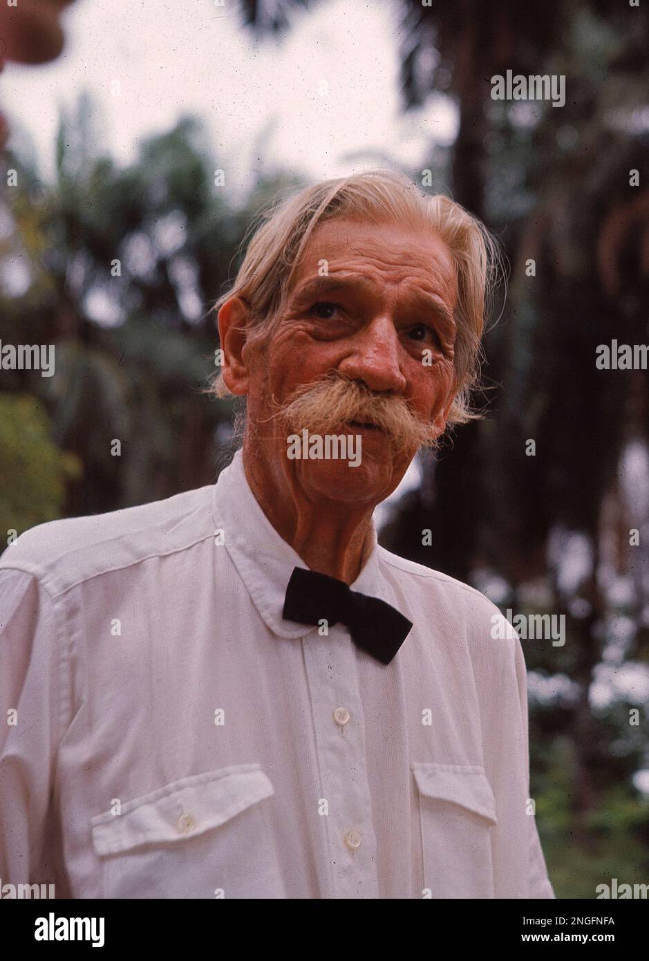 Dr. Albert Schweitzer is seen at his hospital in Lambarene, Gabon ...