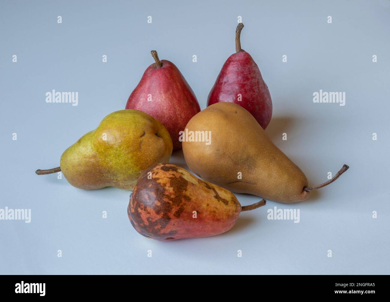 Pears, 5 varieties Stock Photo - Alamy