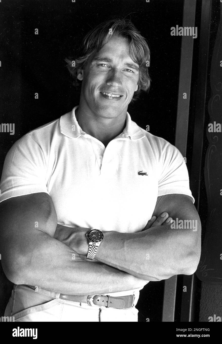 Bodybuilder-turned-actor Arnold Schwarzenegger, who stars in the ...