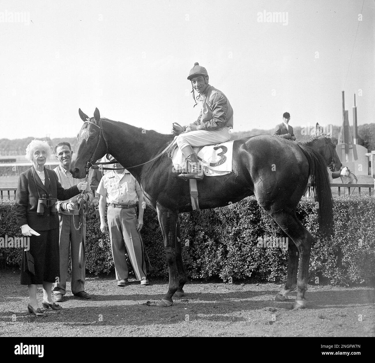 Mrs. Gladys Phipps, owner of the successful Wheatley Stable, holds the ...