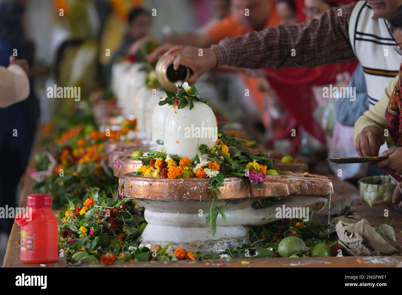 A Hindu devotee offers prayers in front of a row of Shivlings, an idol ...