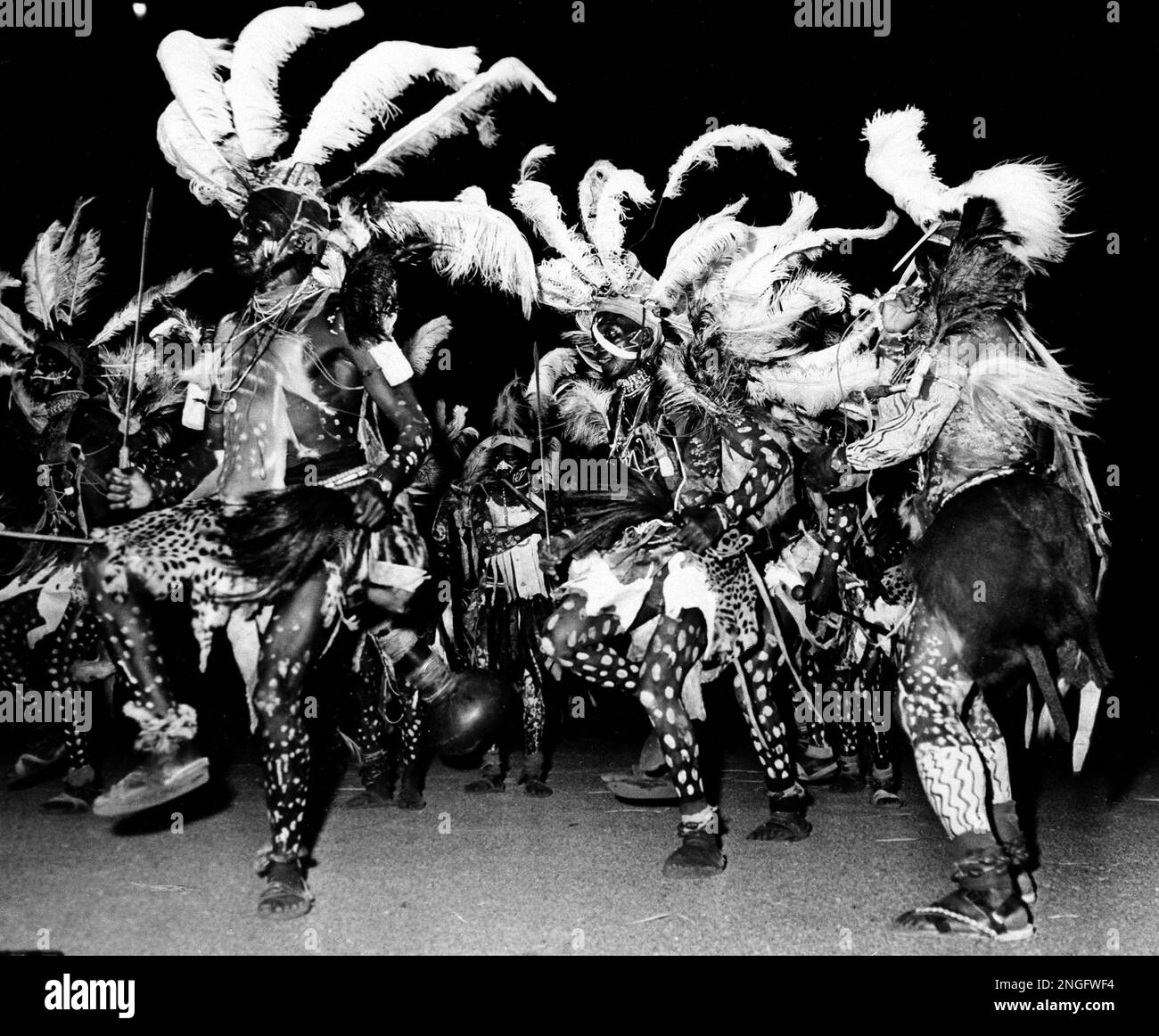 Tribal dancers perform on the eve of Kenya's independence from British ...