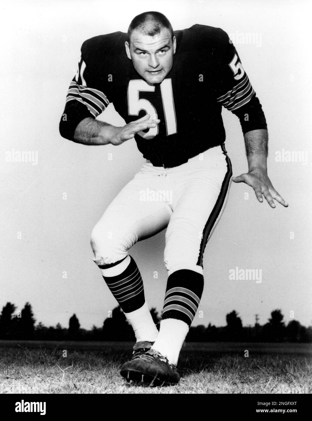 Dick Butkus of the Chicago Bears is shown in an action pose in Chicago ...