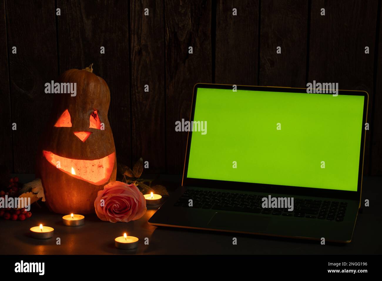 Halloween pumpkins on rough wooden boards with candles and rose glowing ...