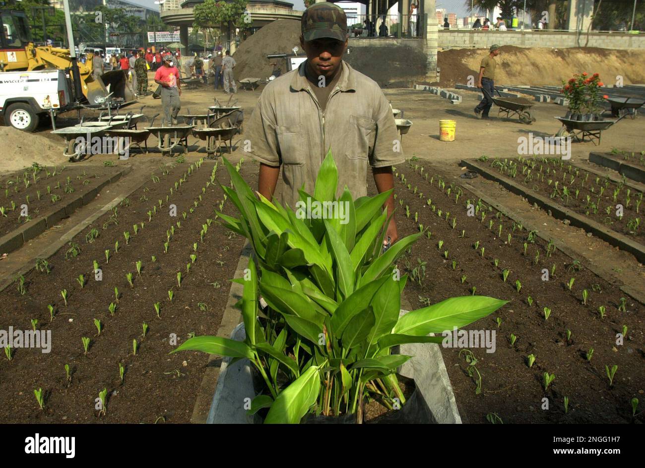 Venezuelan Agriculture