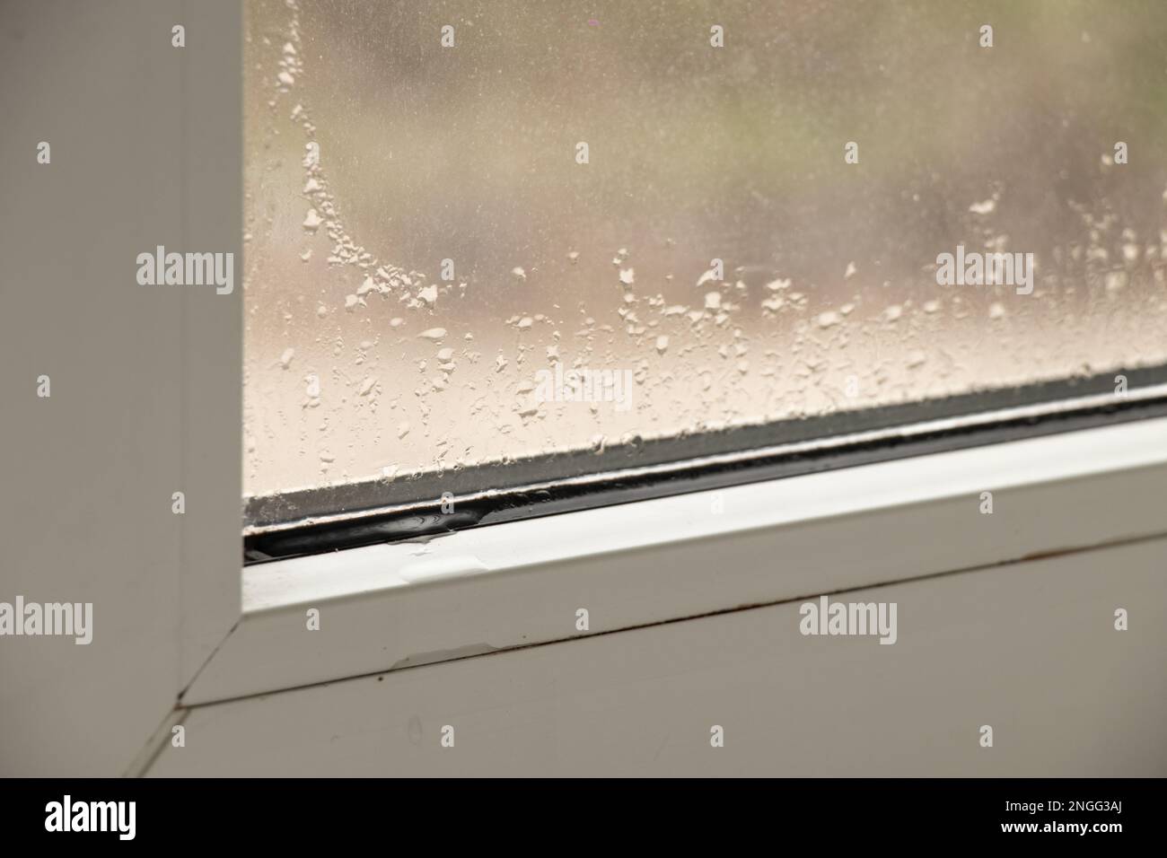 metal-plastic window in an apartment damaged by mold and moisture close ...
