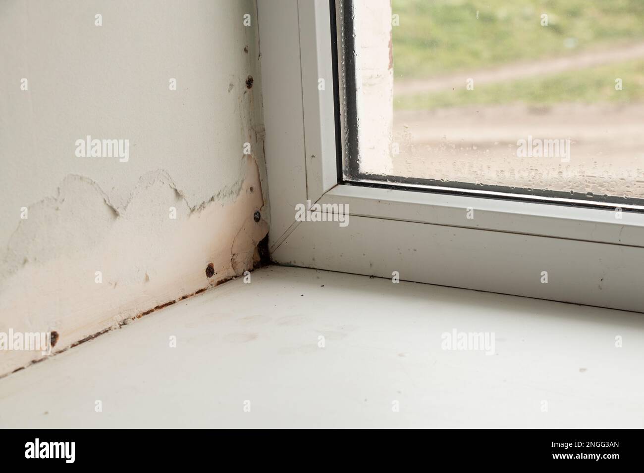 metal-plastic window in an apartment damaged by mold and moisture close ...