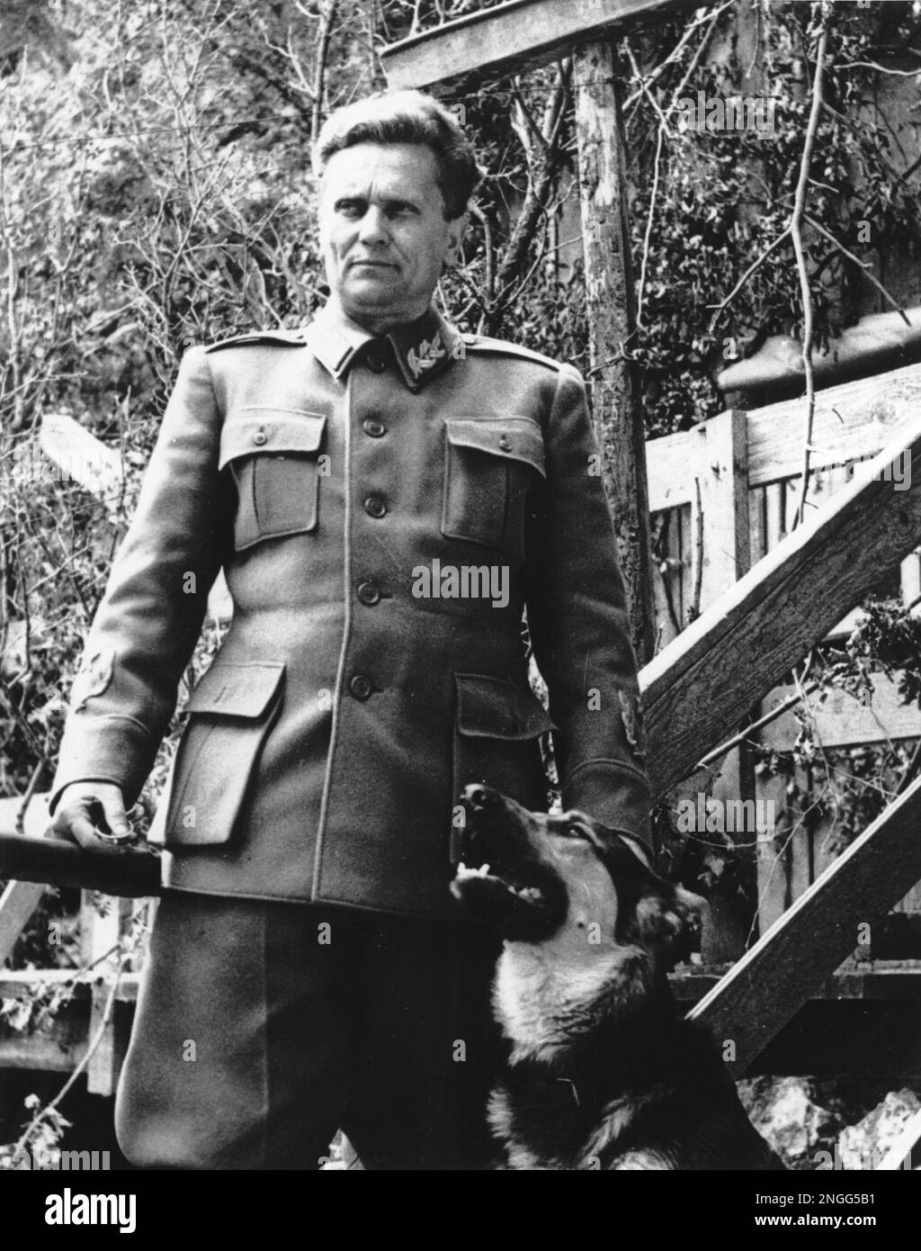 Marshal Josip Broz Tito, leader of the united Yugoslav Partisan Armed ...