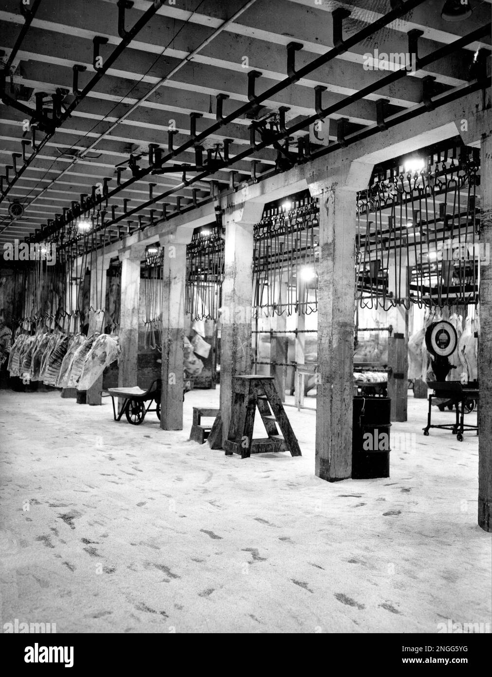 A meat cooler during World War II contains mostly empty hooks at a ...