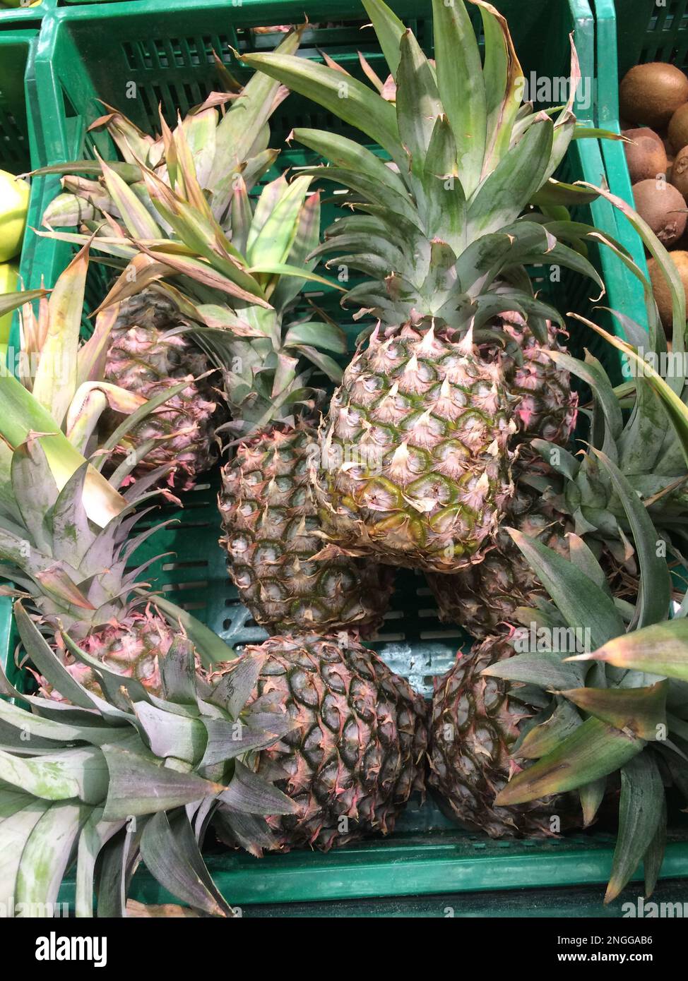 Pineapples unique colors hi-res stock photography and images - Alamy