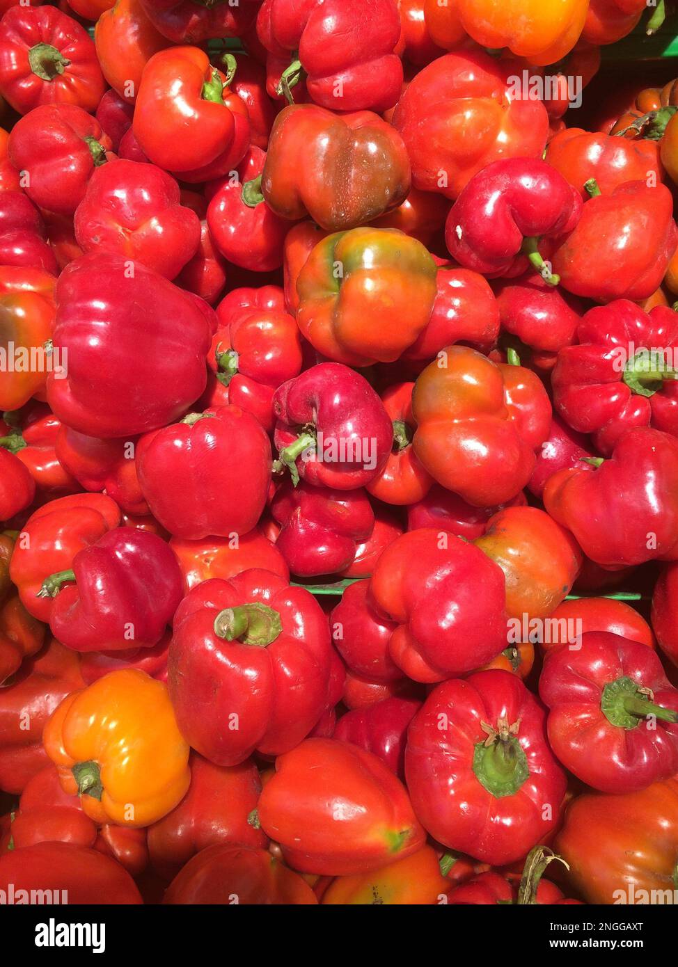 Sweet bell peppers collection hi-res stock photography and images - Alamy