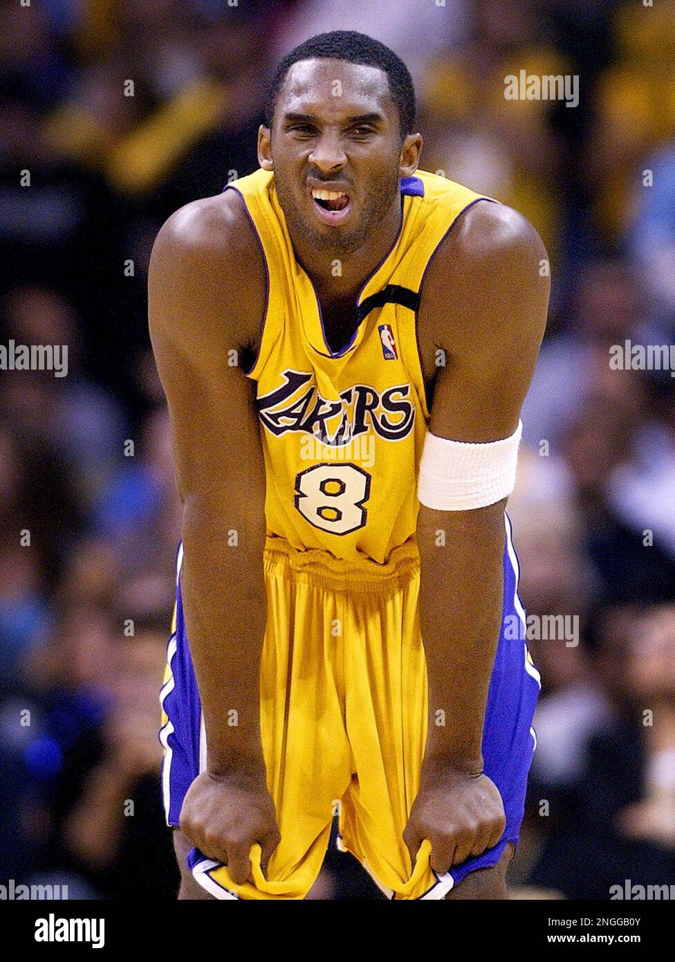 Antawn Jamison Lakers