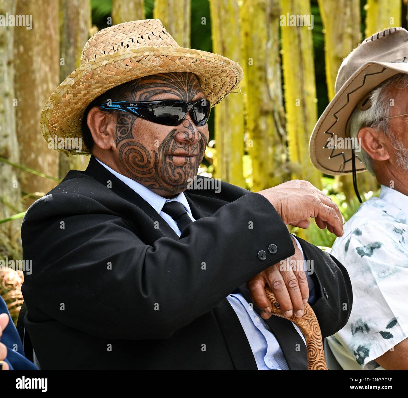 Paula crown hi-res stock photography and images - Alamy