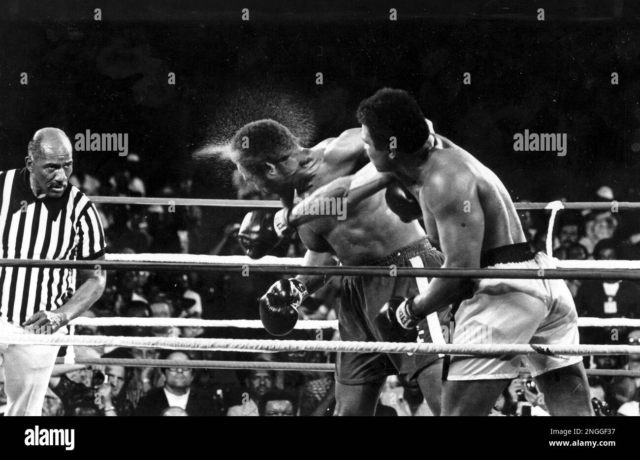 Perspiration flies from the head of George Foreman as he takes a right ...