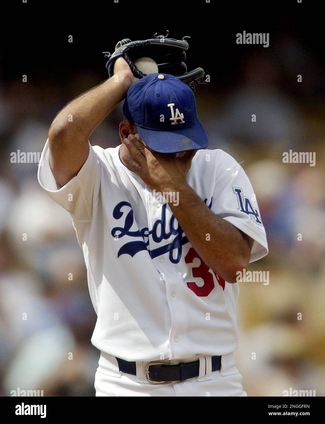 Los Angeles Dodgers pitcher Omar Daal wipes his forehead during the ...