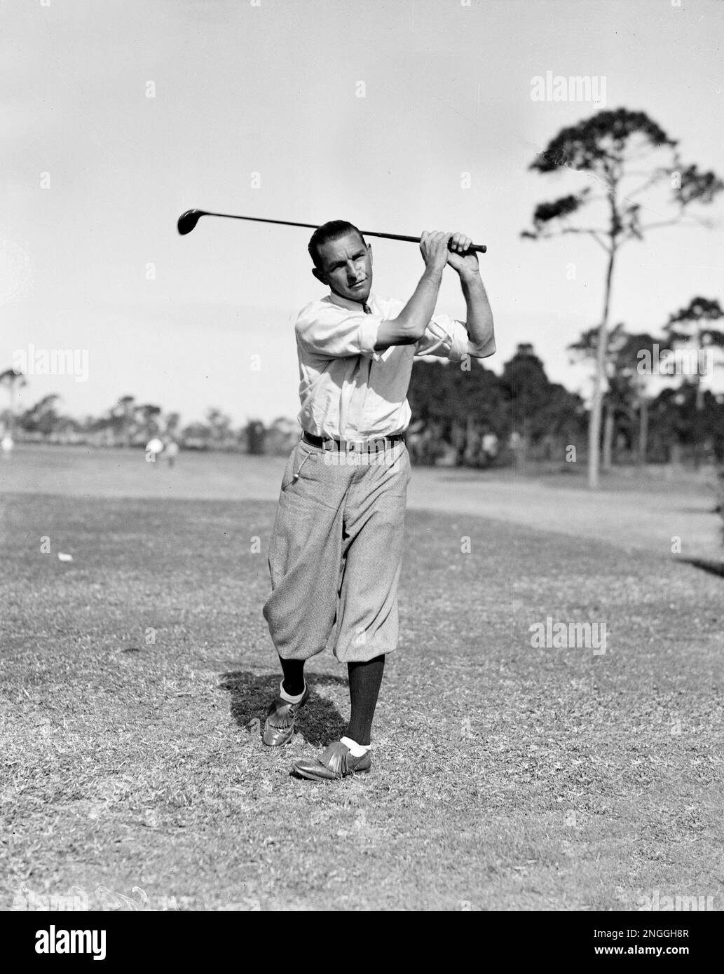 Bob Shawkey, new manager for the New York Yankees, is shown golfing on ...