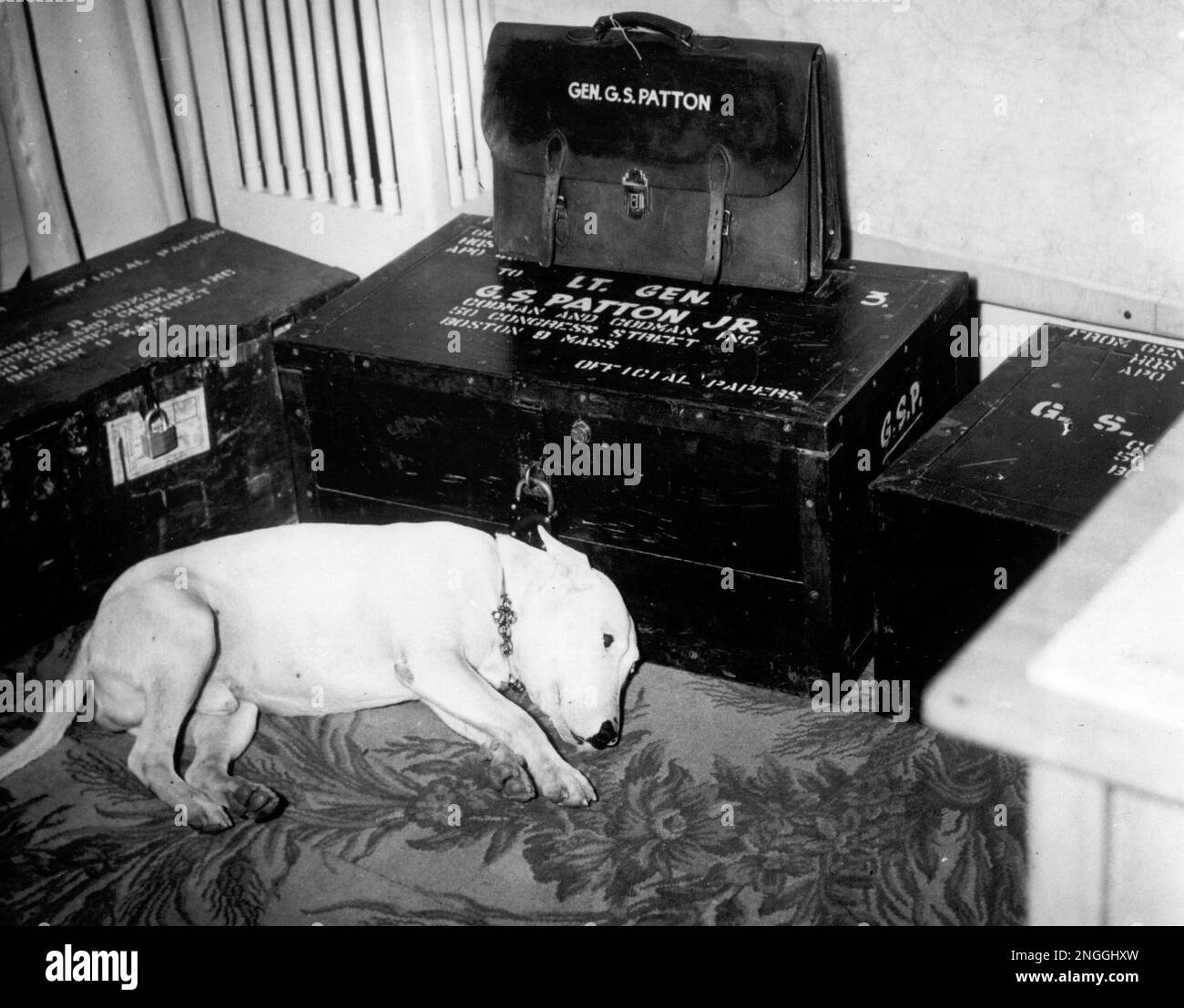 As millions of Americans mourn the death of Gen. George Patton Jr., who ...