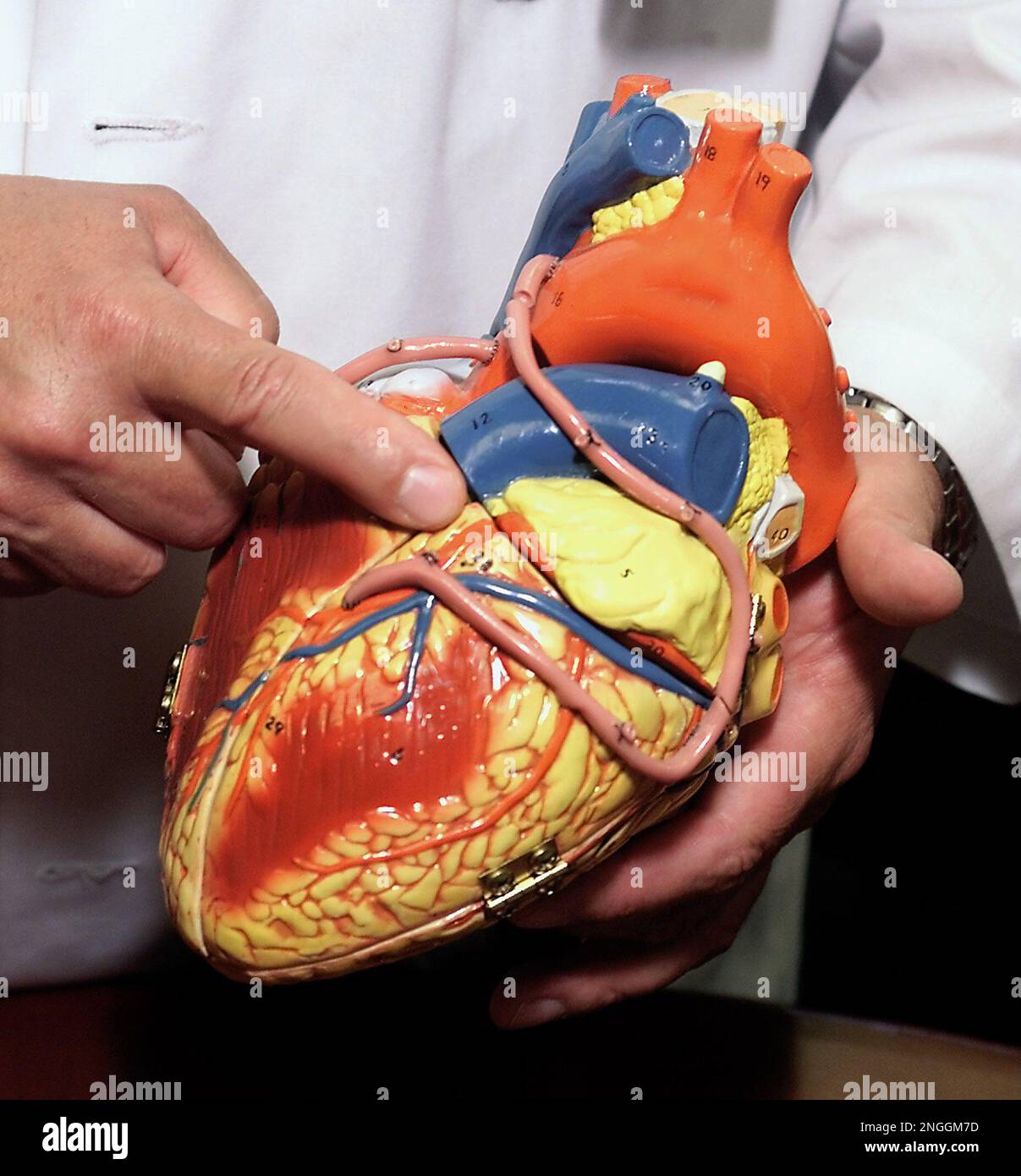 Dr. John Lasala, director of the Cardiac Cath Lab at Barnes-Jewish ...