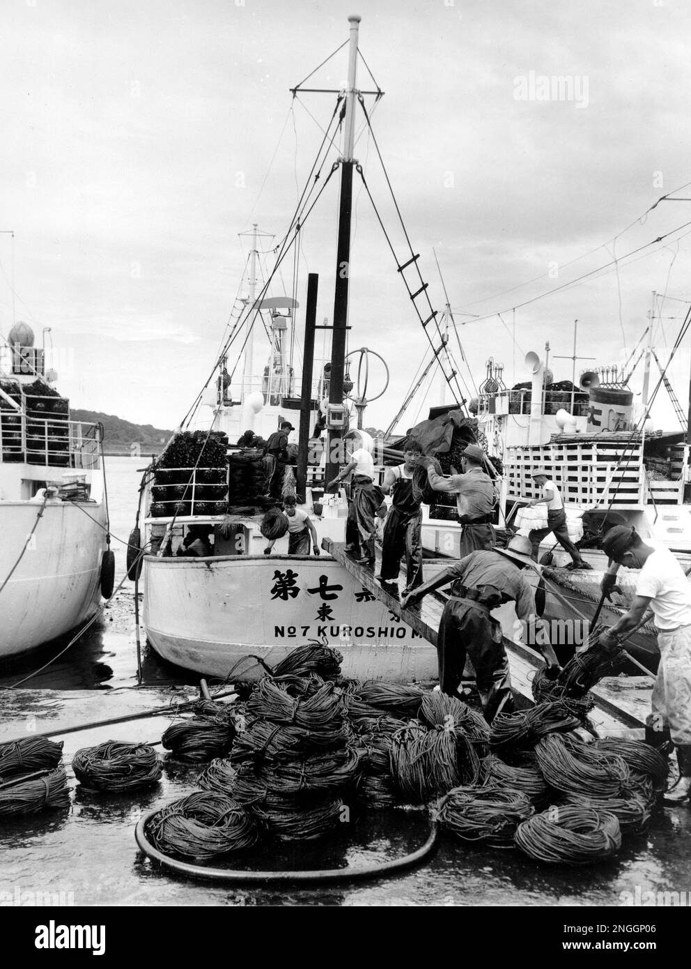 The crew of the Japanese fishing vessel Kuroshio-maru load their ship ...