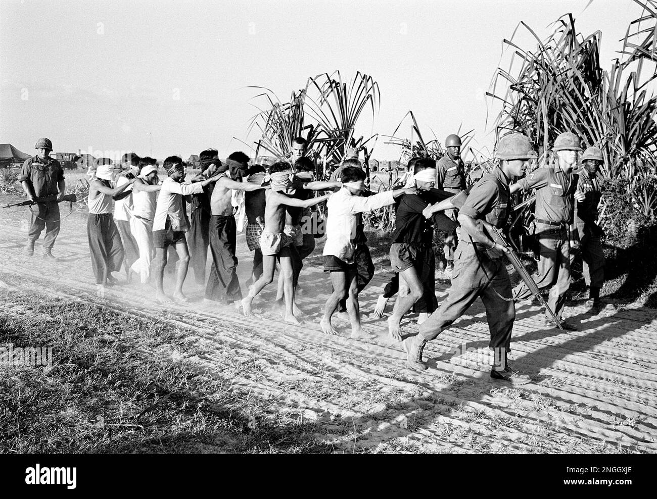 Viet Cong guerrilla suspects, blindfolded and linked arm to shoulder ...