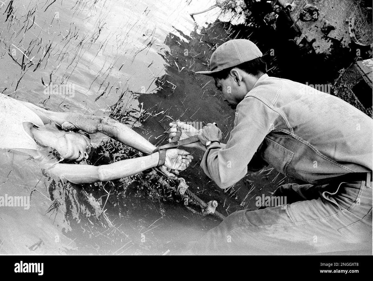A Vietnamese soldier ties the hands of a Viet Cong guerrilla to an ...