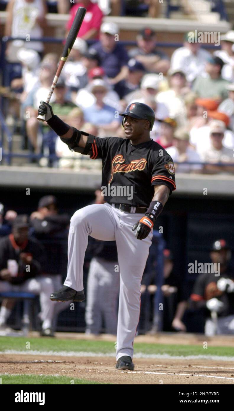 San Francisco Giants' Barry Bonds strikes a pose after swinging and ...