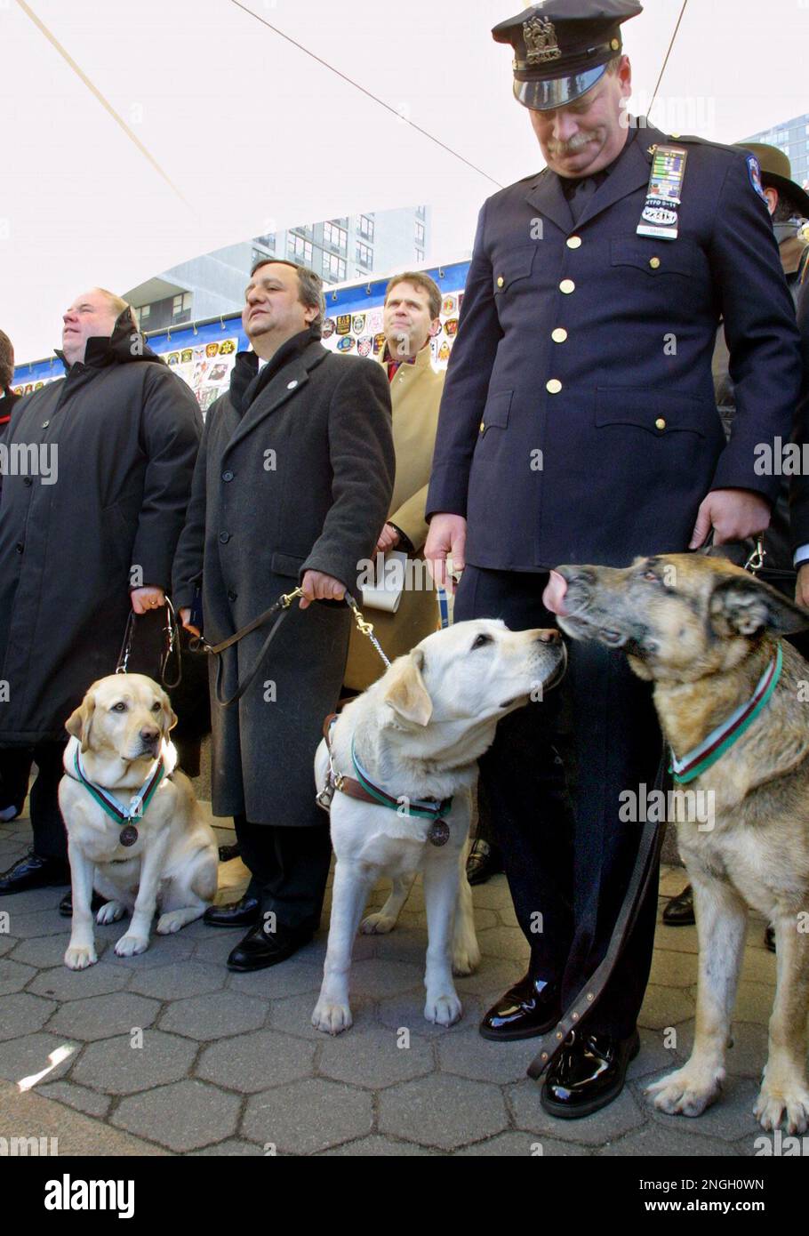 Guide dogs Roselle, with owner Michael Hingson, left, Salty, with owner ...