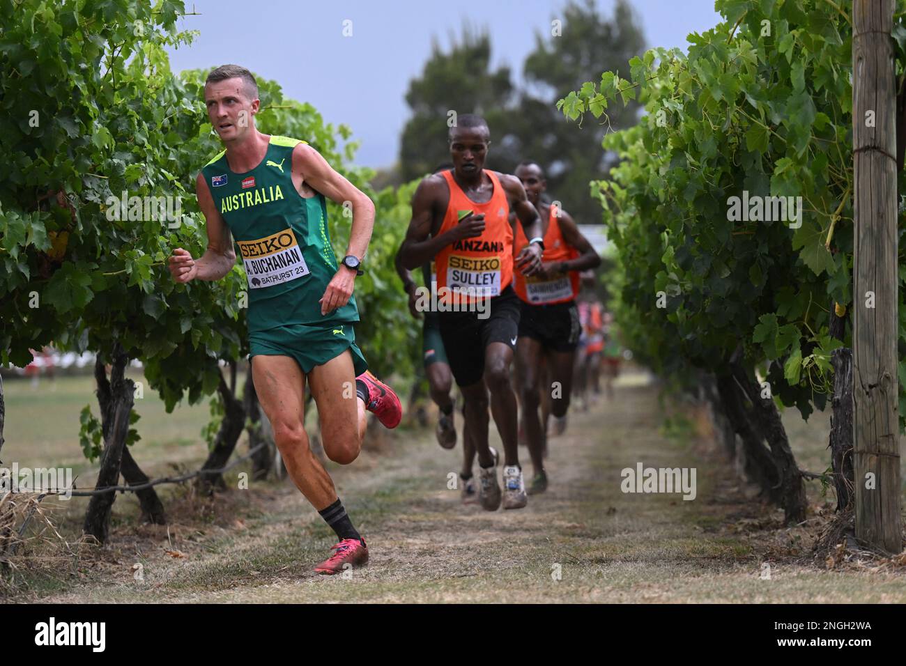 Andrew Buchanan of Australia compete in the Senior Mens 10 klm race ...