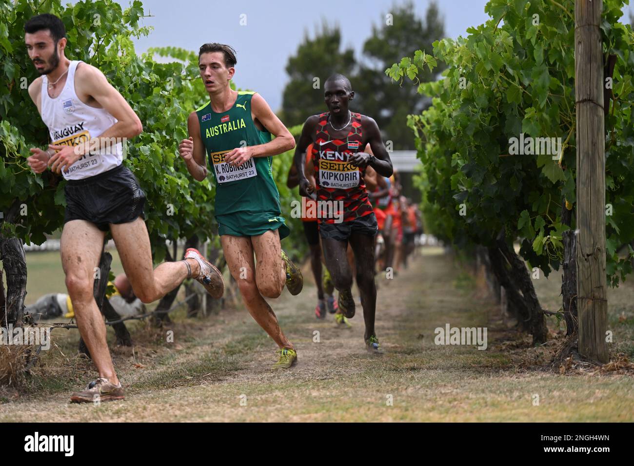 Ky Robinson of Australia competes in the Senior Mens 10 klm race during ...