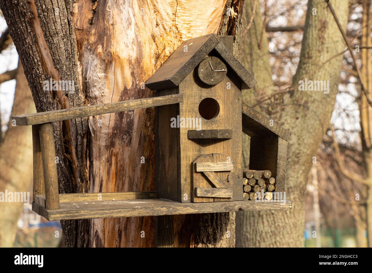 Small house in a tree for bird hi-res stock photography and images - Alamy