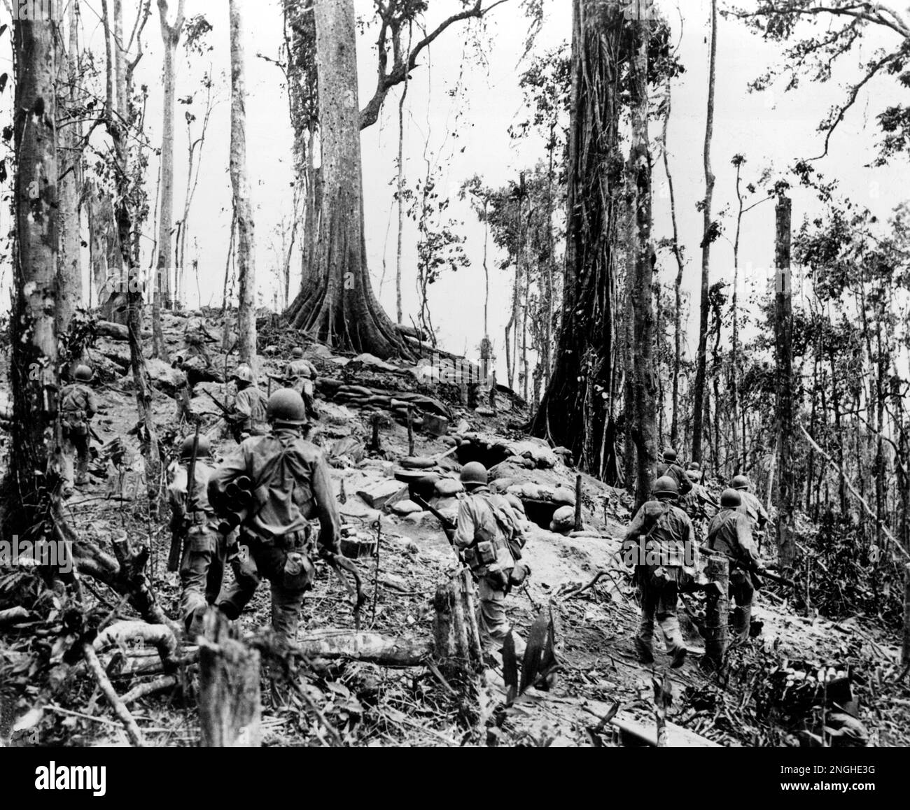 Soldiers of the Americal Division, armed with two flame throwers, a ...