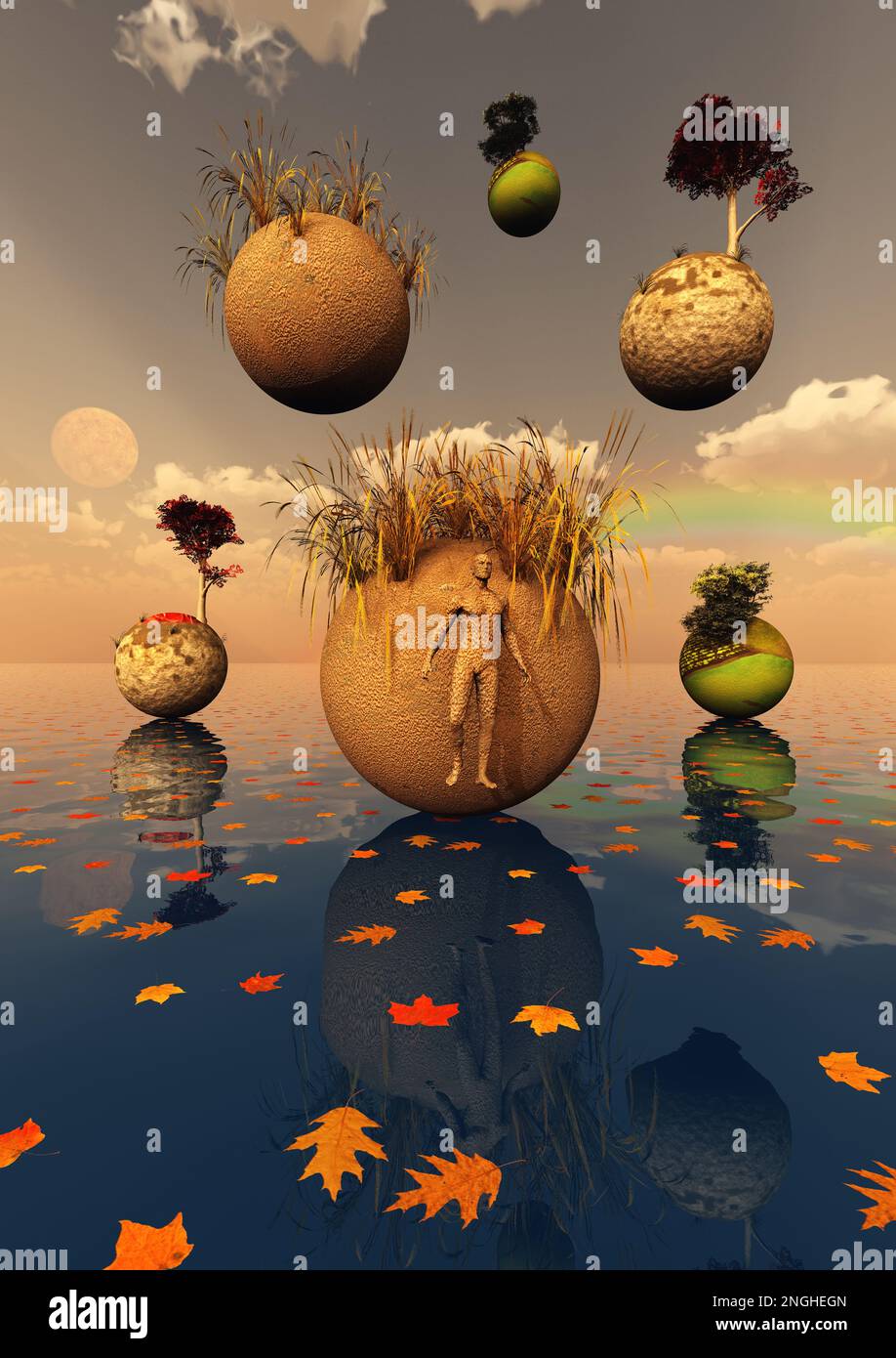 Spherical trees hi-res stock photography and images - Alamy